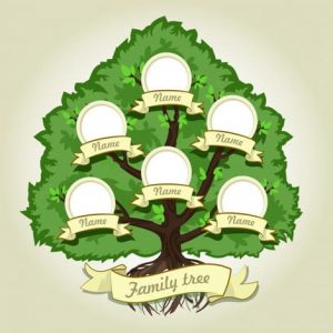 Árbol genealógico en inglés y español: vocabulario y términos completos